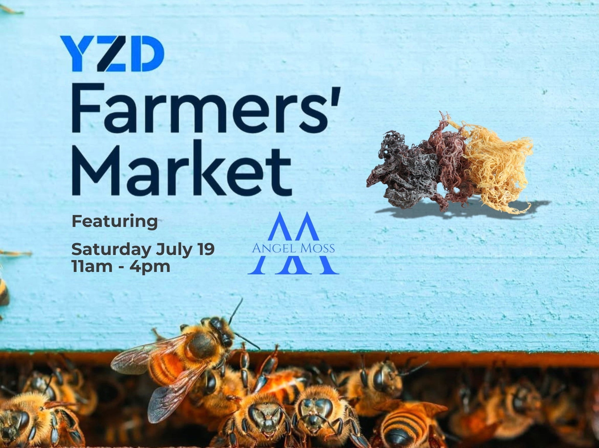YZD Farmer's Market – AnGel Moss